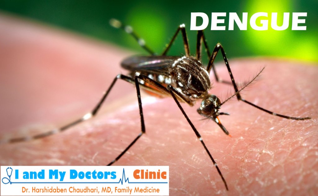 DENGUE - Causes and Symptoms and Diagnosis - I and My Doctor